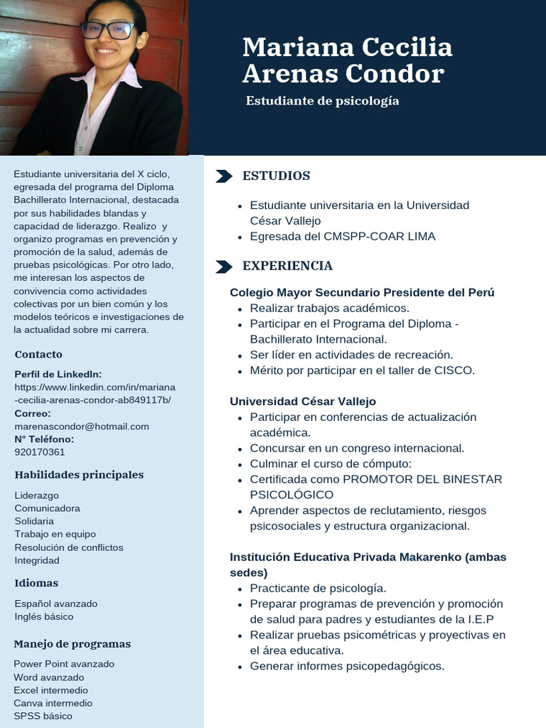 Blue White Color Blocks Software Engineer CV | PDF | Sicología