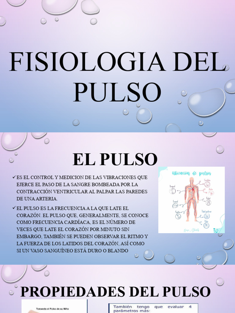 Fisiologia Del Pulso | PDF | Aorta | Anatomía