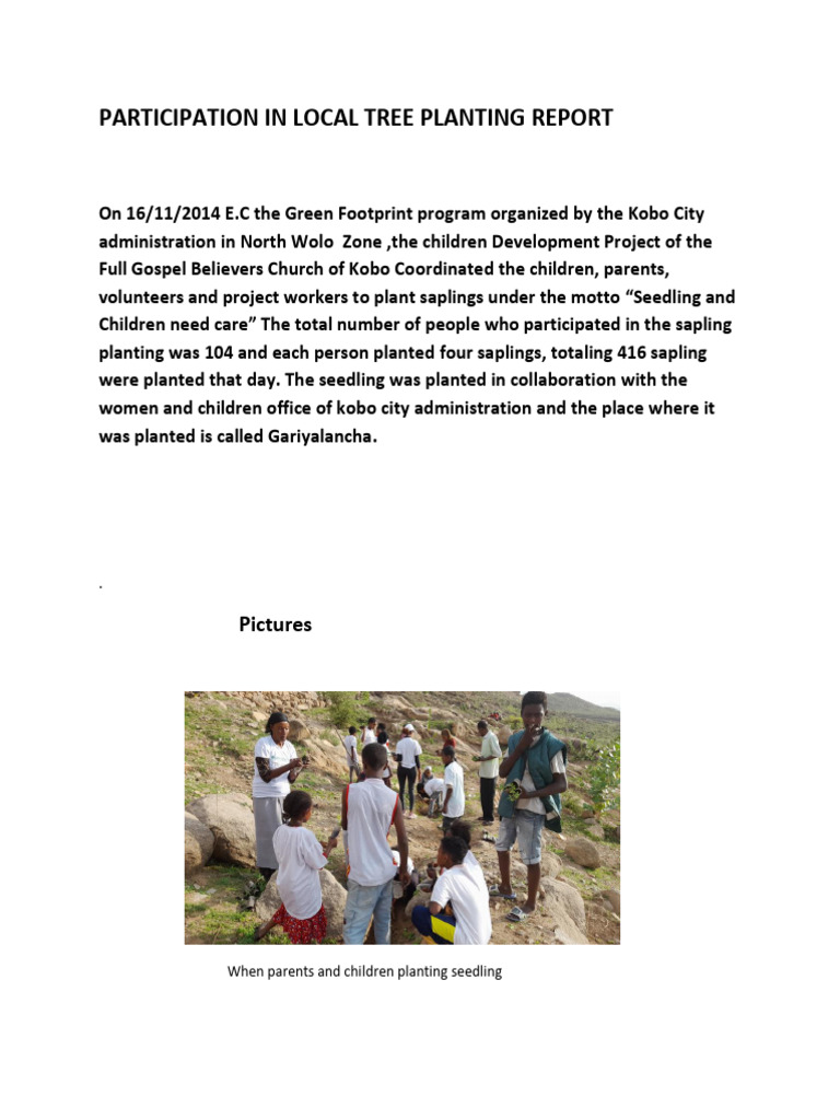 Local Tree Planting Event Report | PDF