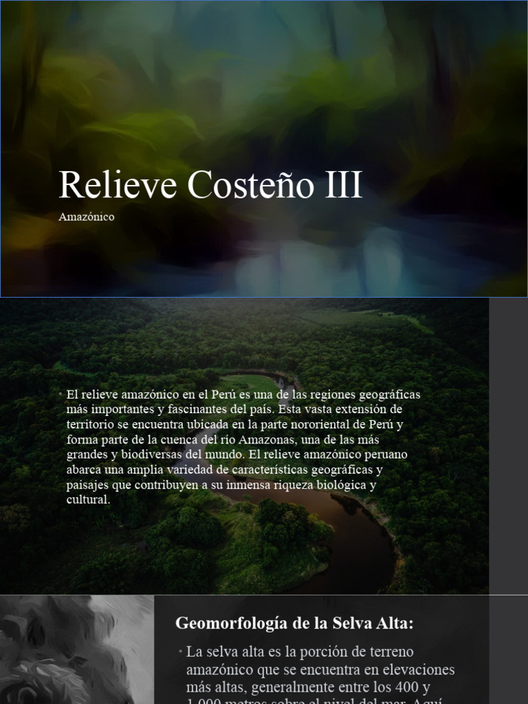 Relieve y Geomorfología Amazónica | PDF | Montañas | Ciencias de la Tierra