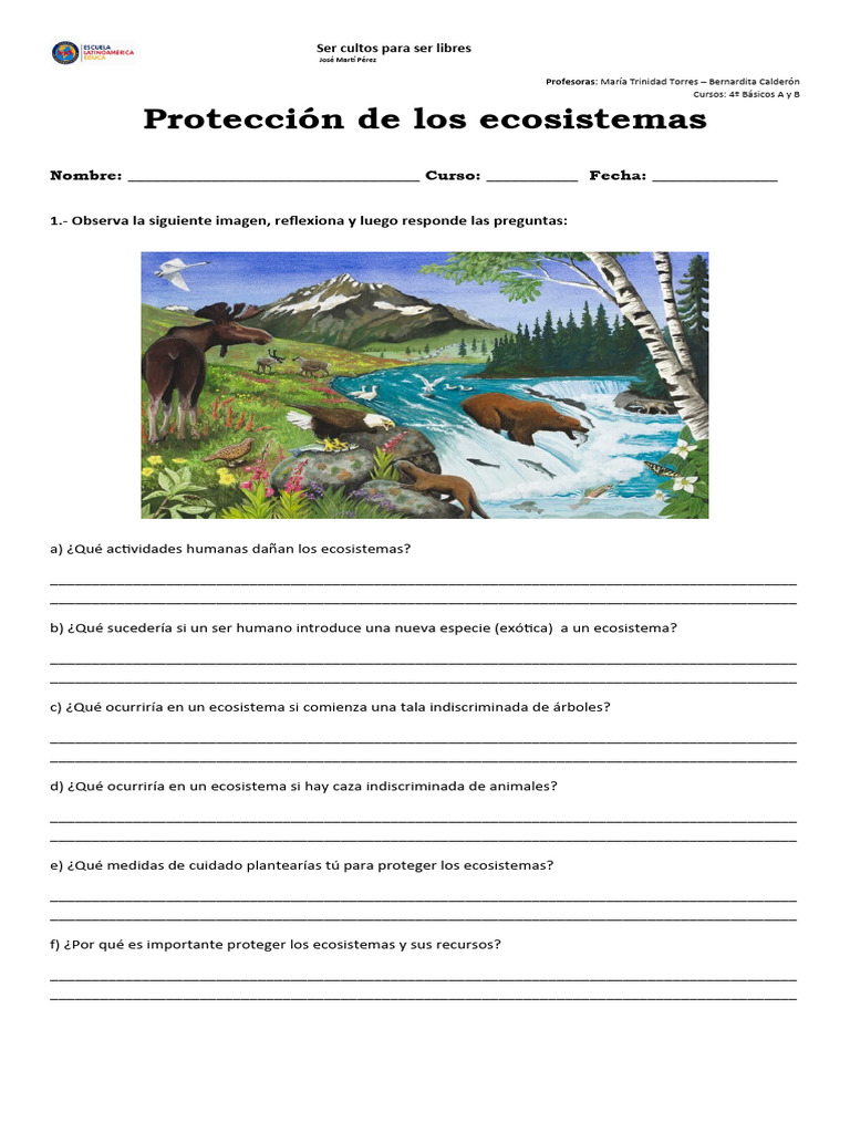 Guía Proteccion de Los Ecosistemas 4° Basico | Descargar gratis PDF | Conservación del medio ...