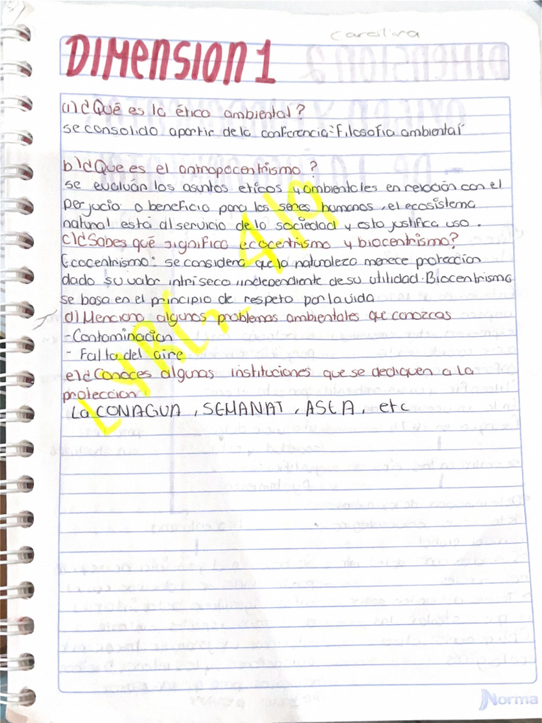 Act Req Etapa2 Lyrg419 | PDF