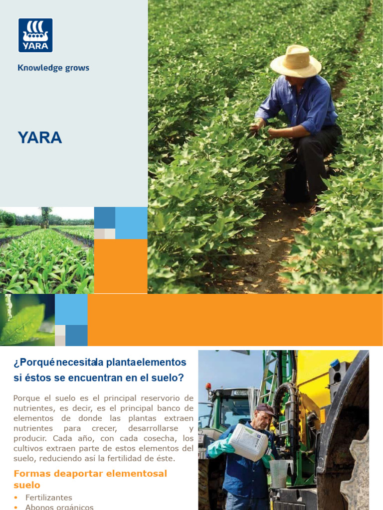 Yara Zona Norte | PDF | Fertilizante | Nutrientes