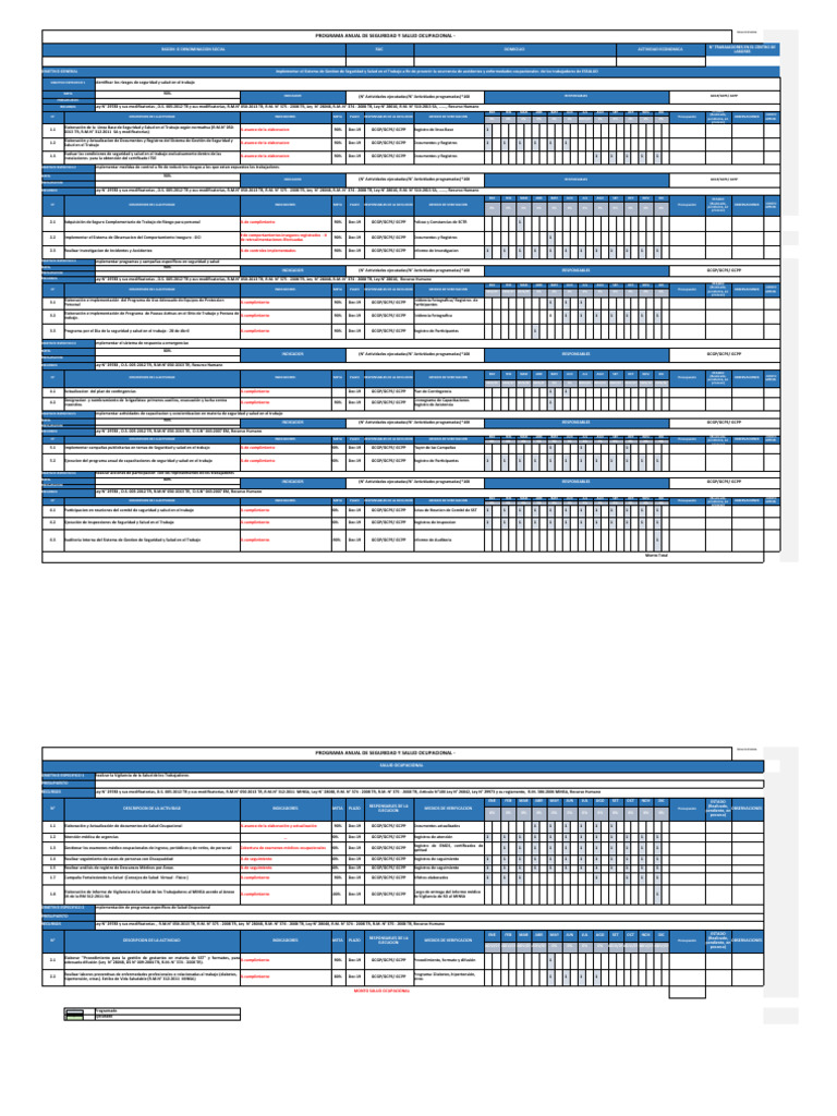 Programa Anual de SST y Programa Anual de Capa | PDF | Seguridad y salud ocupacional | Cuidado ...