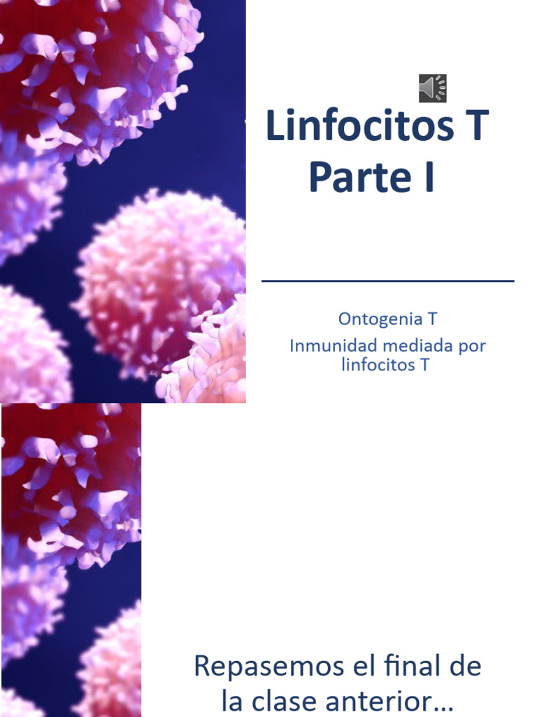 Linfocitos T 2022 Con Audio Parte 1 | PDF | Célula T | Linfocitos