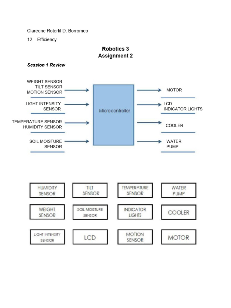 BORROMEO_EFFICIENCY-Robotics-3_Assignment-2 | PDF | Internet Of Things | Equipment