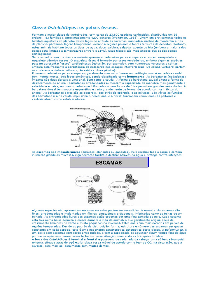 Peixes 2 | PDF | Peixes | Zoologia