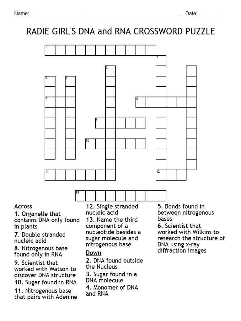 DNA & RNA Crossword for Students | PDF
