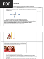 Secuencia Texto Informativo. Lobos | PDF | Enseñando | Comunicación humana