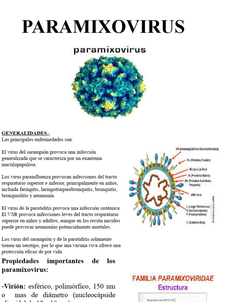 Tema 3 Paramixovirus | PDF | Sarampión | Resfriado comun
