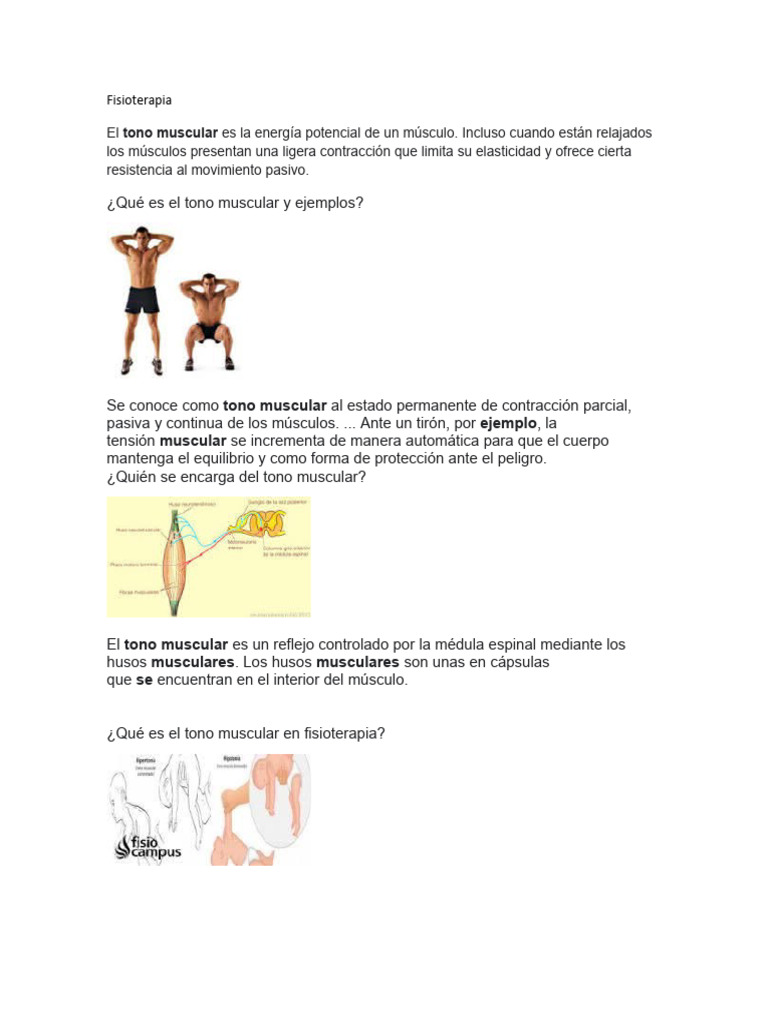 Tono Muscular: Definición y Ejemplos | PDF | Lesión de la médula ...