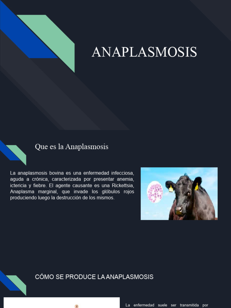 ANAPLASMOSIS | PDF | Anemia | Especialidades Medicas