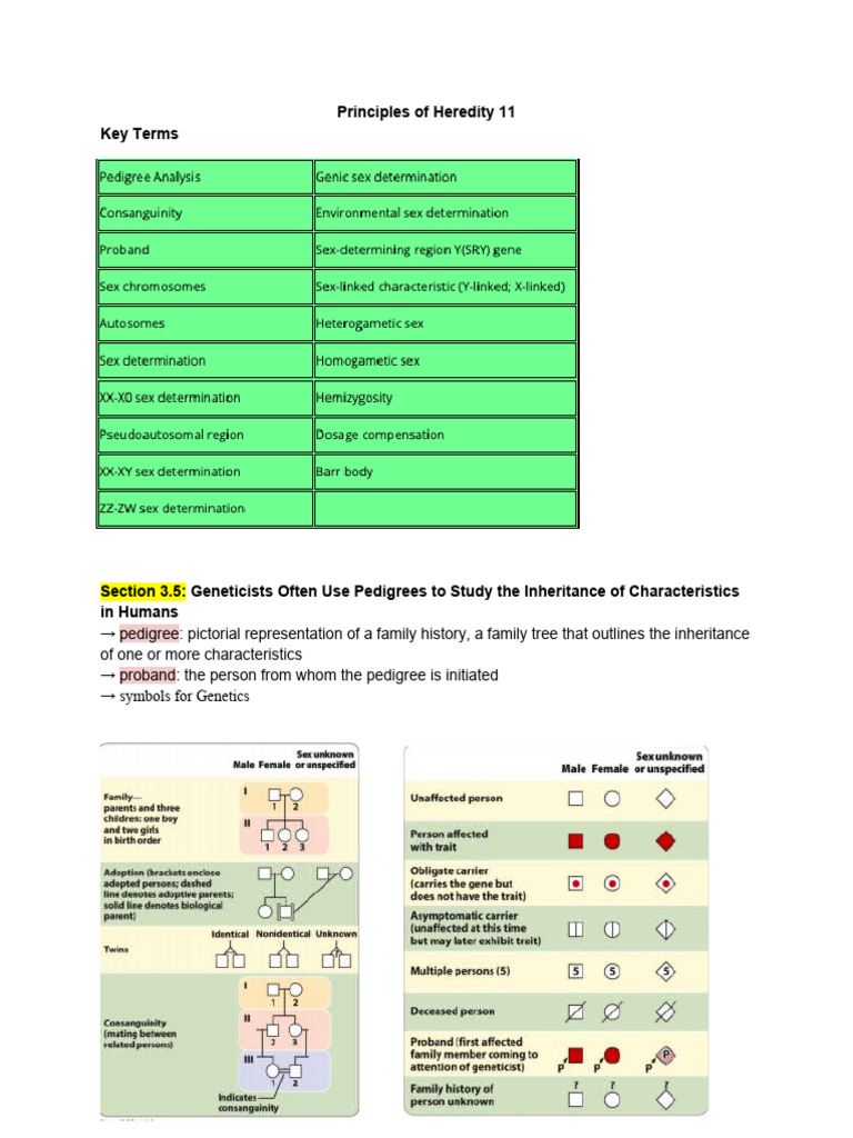 Biol 2050 W4 Pdf Sex Dominance Genetics