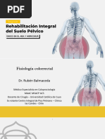 Anatomía y Fisiología Anorectal | PDF | Recto | Sistema digestivo