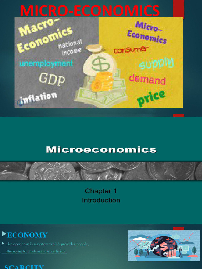 SK PPT Introduction Fully | PDF | Microeconomics | Economics