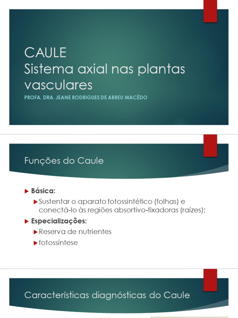 Aula Caule | PDF | Caule | Raiz