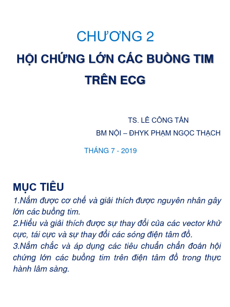 Chương 2: H I CH NG L N Các Bu NG Tim Trên Ecg | PDF