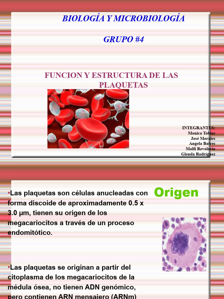 Copia de Funcion de Las Plaquetas Diapositivas | PDF | Plaqueta | Sangre