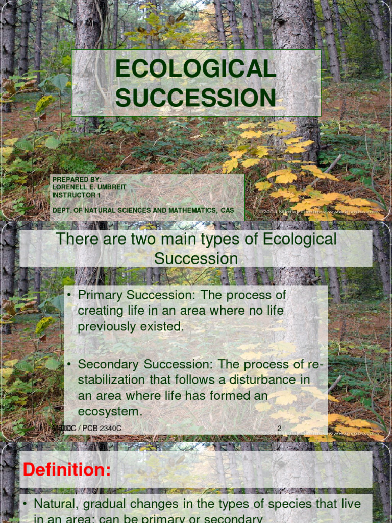 Understanding Ecological Succession | PDF | Soil | Forests