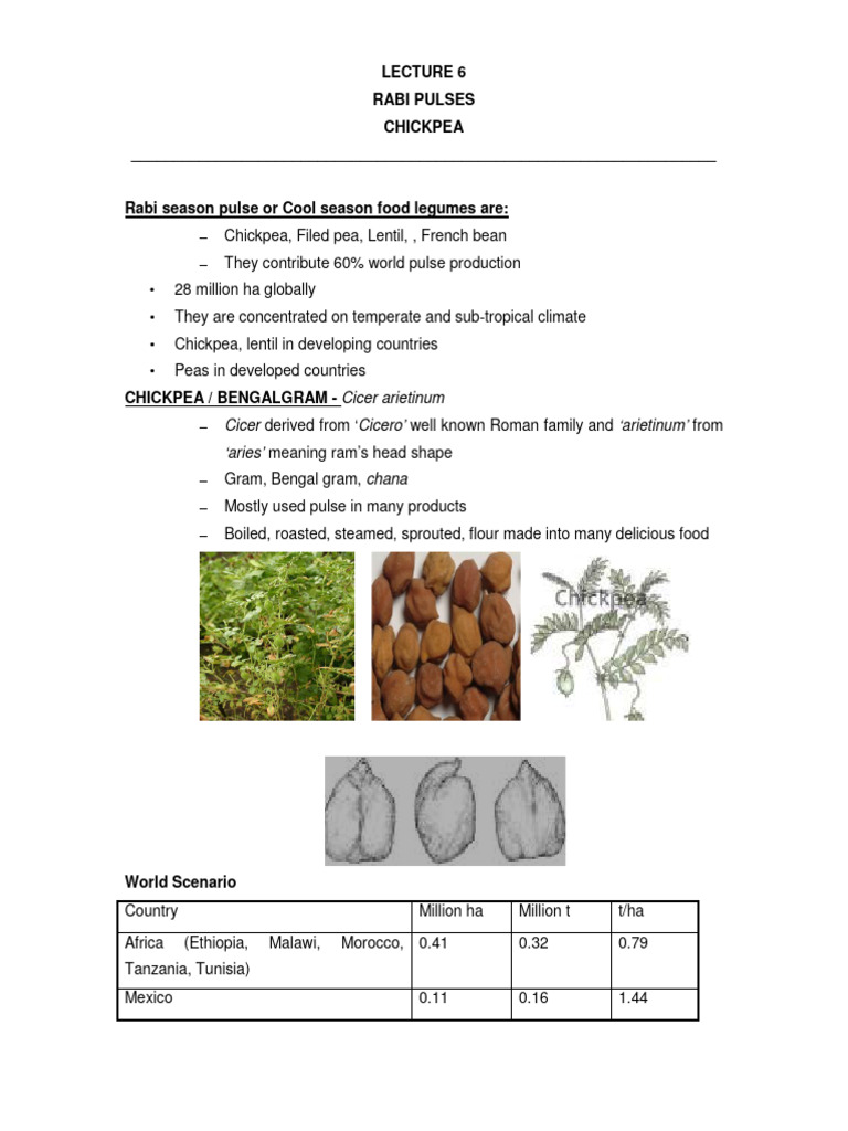 Lec 05 | PDF | Chickpea | Plants