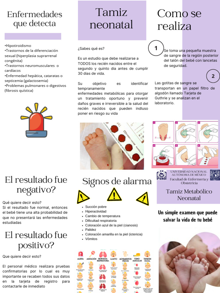 Tamiz Neonatal: Detección Temprana de Enfermedades | PDF | Infantes ...