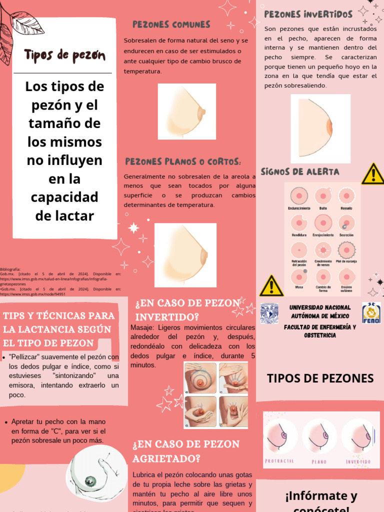 Consejos Para Pezones Invertidos Pdf Pezón Infancia