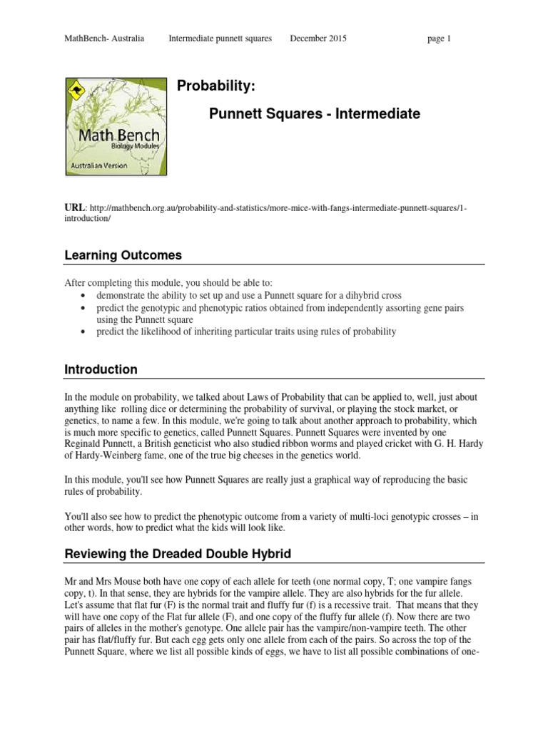 Probability Punnett-Squares-Intermediate Printer Friendly | PDF ...