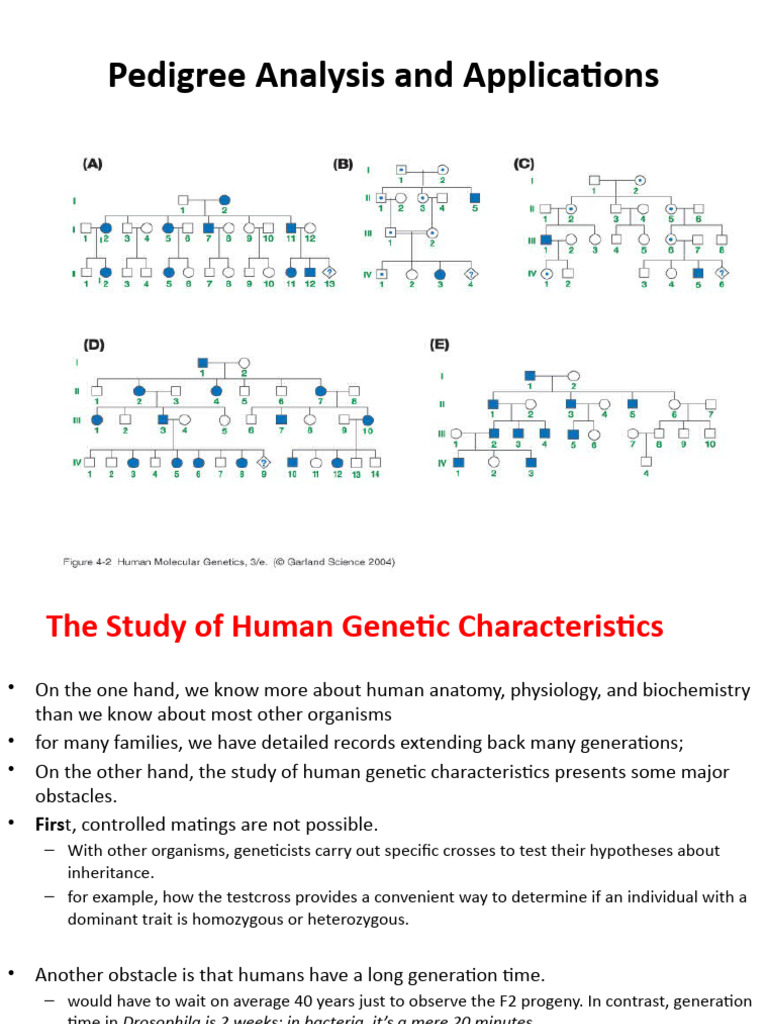 Pedigree Analysis and Application | PDF | Twin | Dominance (Genetics)