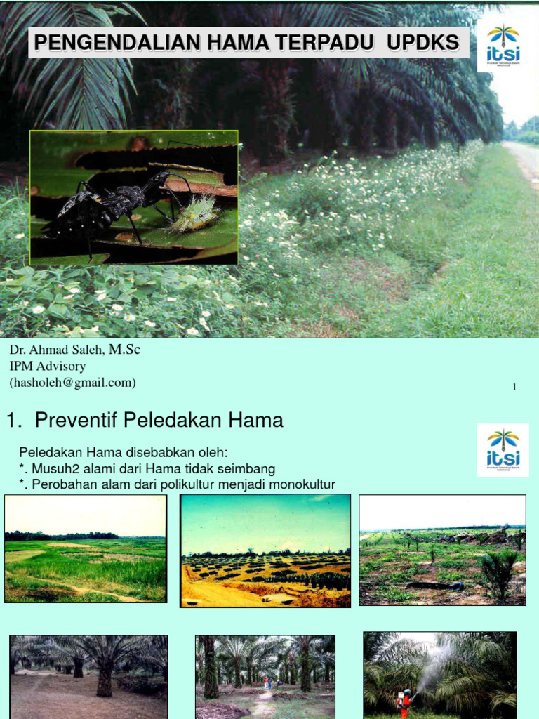 PHT, Hama Tanaman Kelapa Sawit. Proteksi 24 - Compressed | PDF