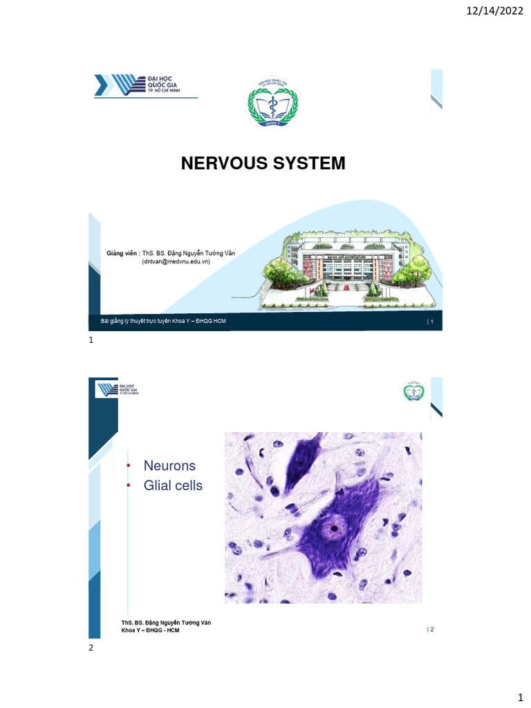 4. Nervous system | PDF | Senses | Stimulus (Physiology)