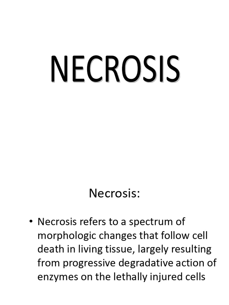 Types and Mechanisms of Necrosis | PDF