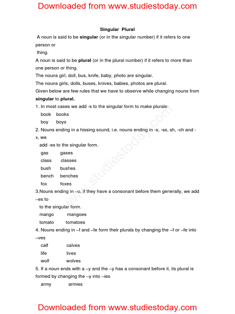 CBSE Class 3 English Assignment (7) - Singular Plural | PDF | Plural ...