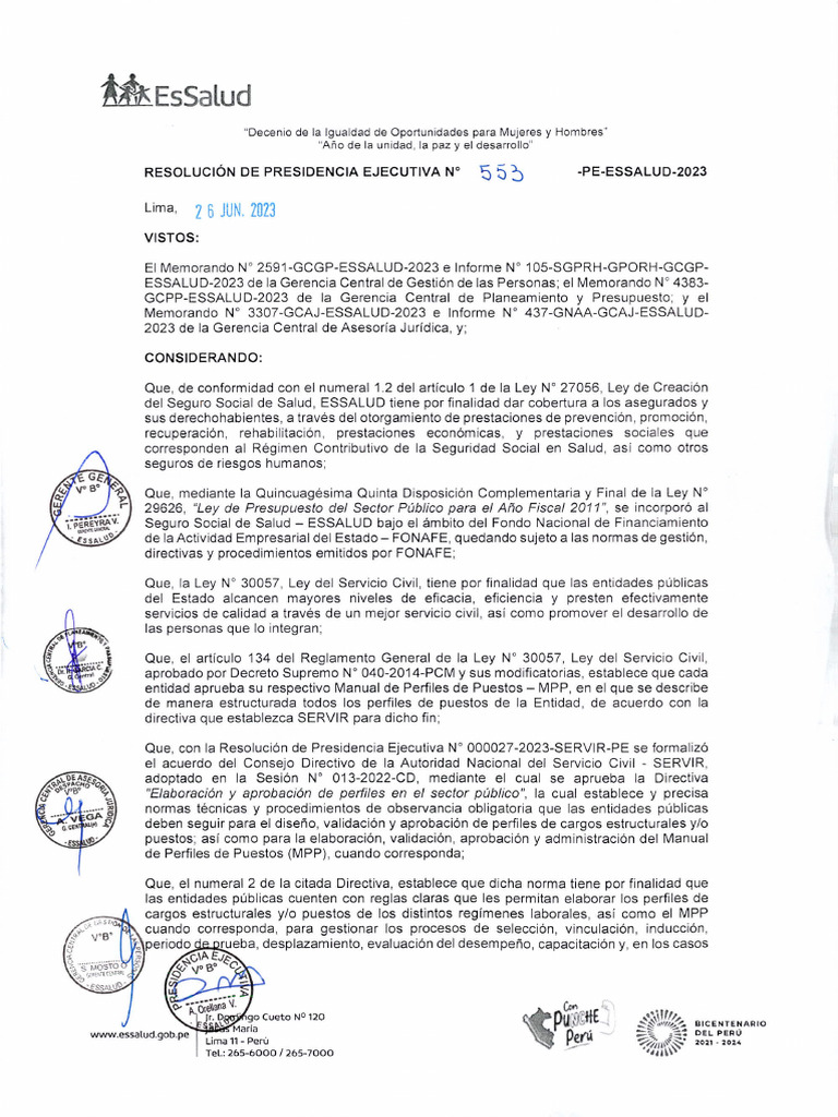 Manual de Perfiles de Puestos MPP | PDF