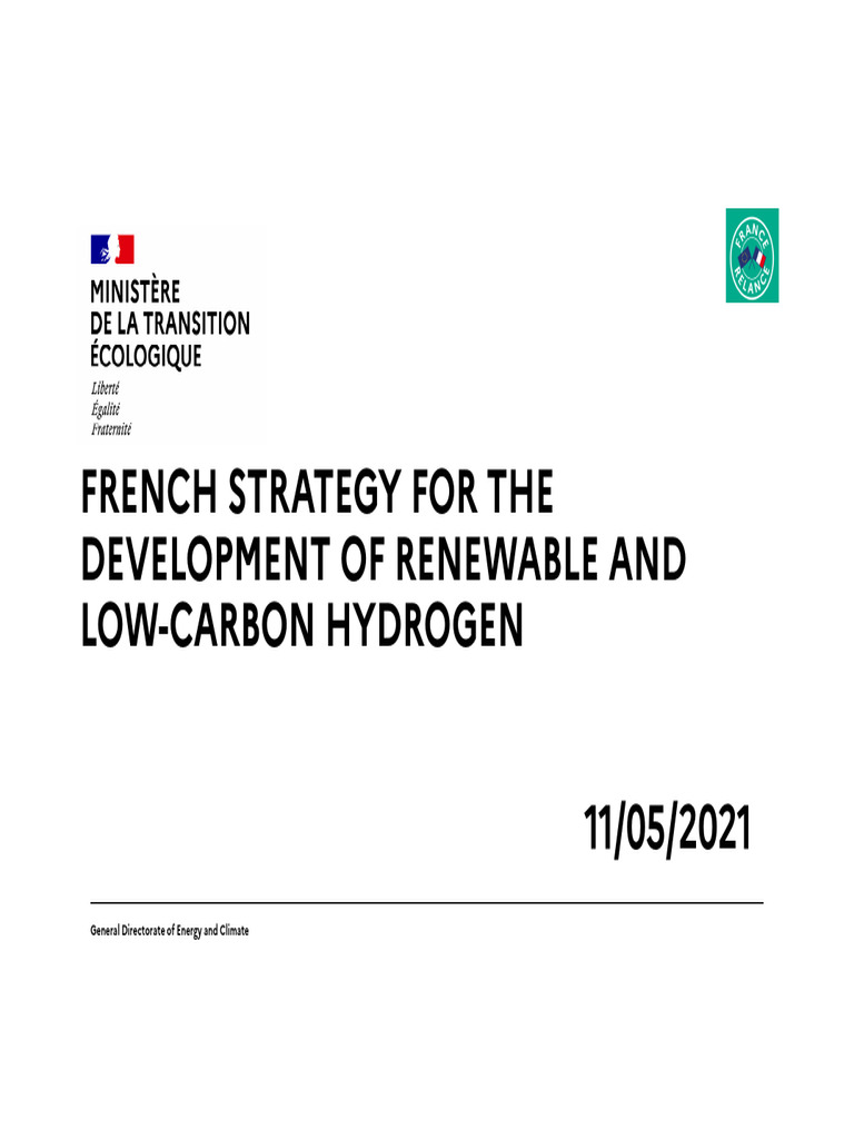 The French Hydrogen Strategy | PDF | Climate Change Mitigation | Low ...