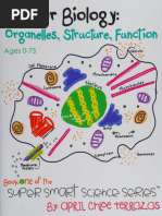 Standards Codes & Shell DEPs | PDF | Underwater Diving | Welding
