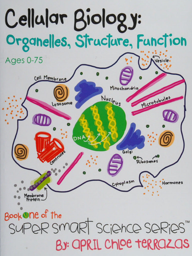 Cellular Biology - April Chloe Terrazas | PDF | Cell (Biology) | Cell ...