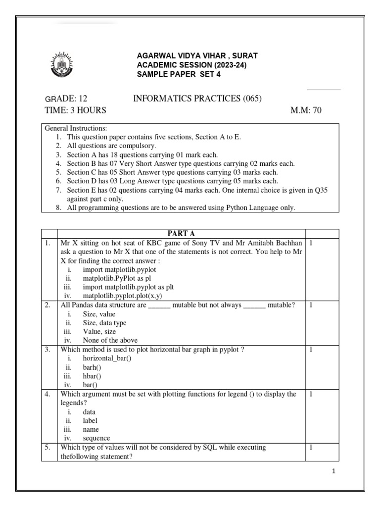 Ip Sample Paper 4 | PDF | Computing