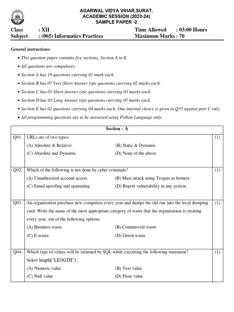 Ip Sample Paper 2 | PDF | Computing