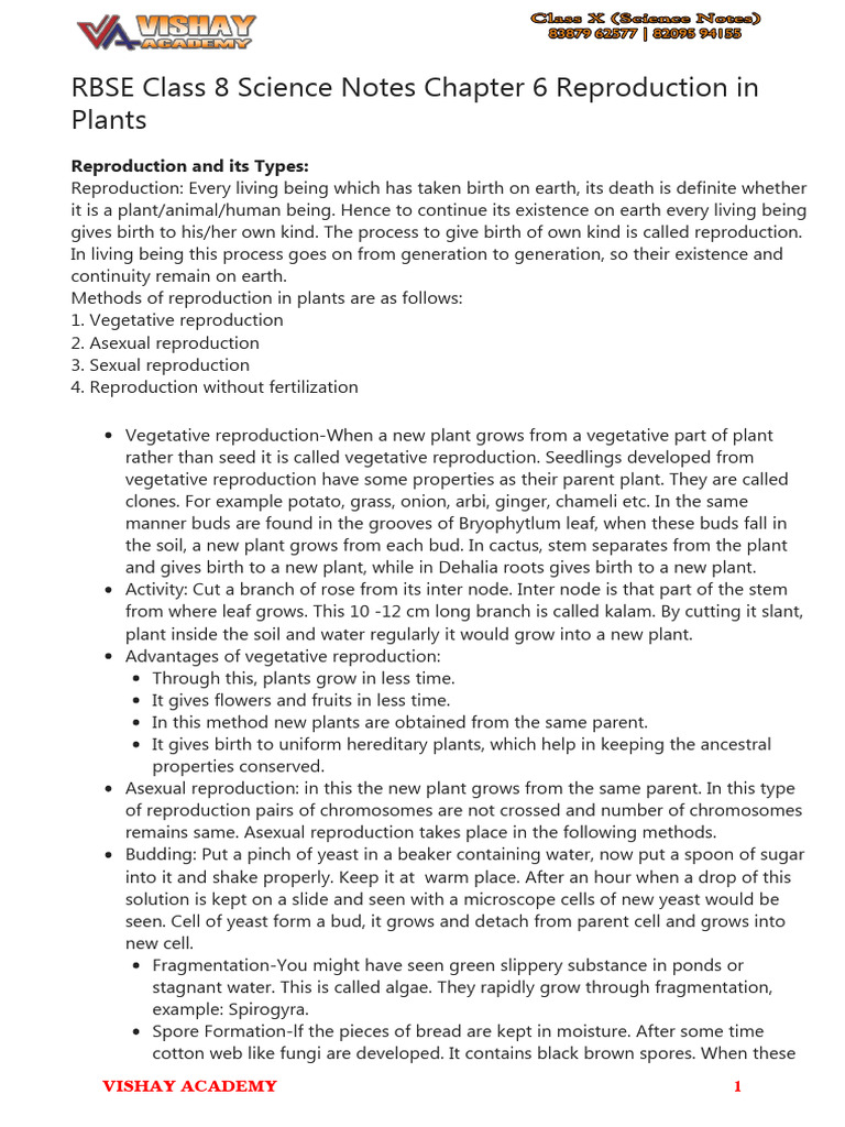 Class 8 Science: Reproduction in Plants | PDF | Fruit | Flowers