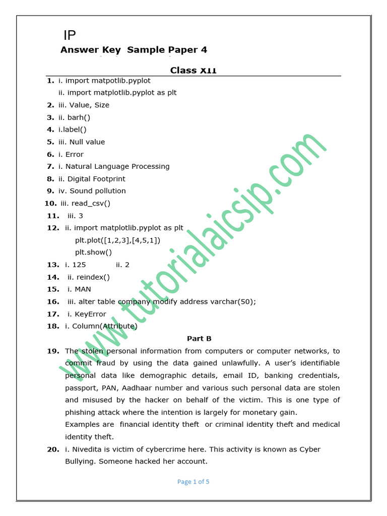 Ip Sample Paper 4 Answer Key | PDF | World Wide Web | Internet & Web