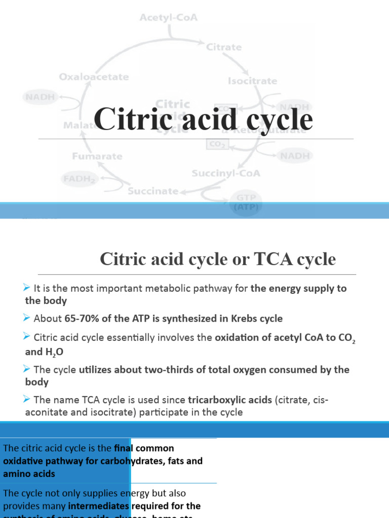 Citric Acid Cycle | PDF | Diet & Nutrition | Chemistry