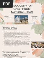 Northern Natural Gas System Map | PDF | Petroleum | Fuel Production