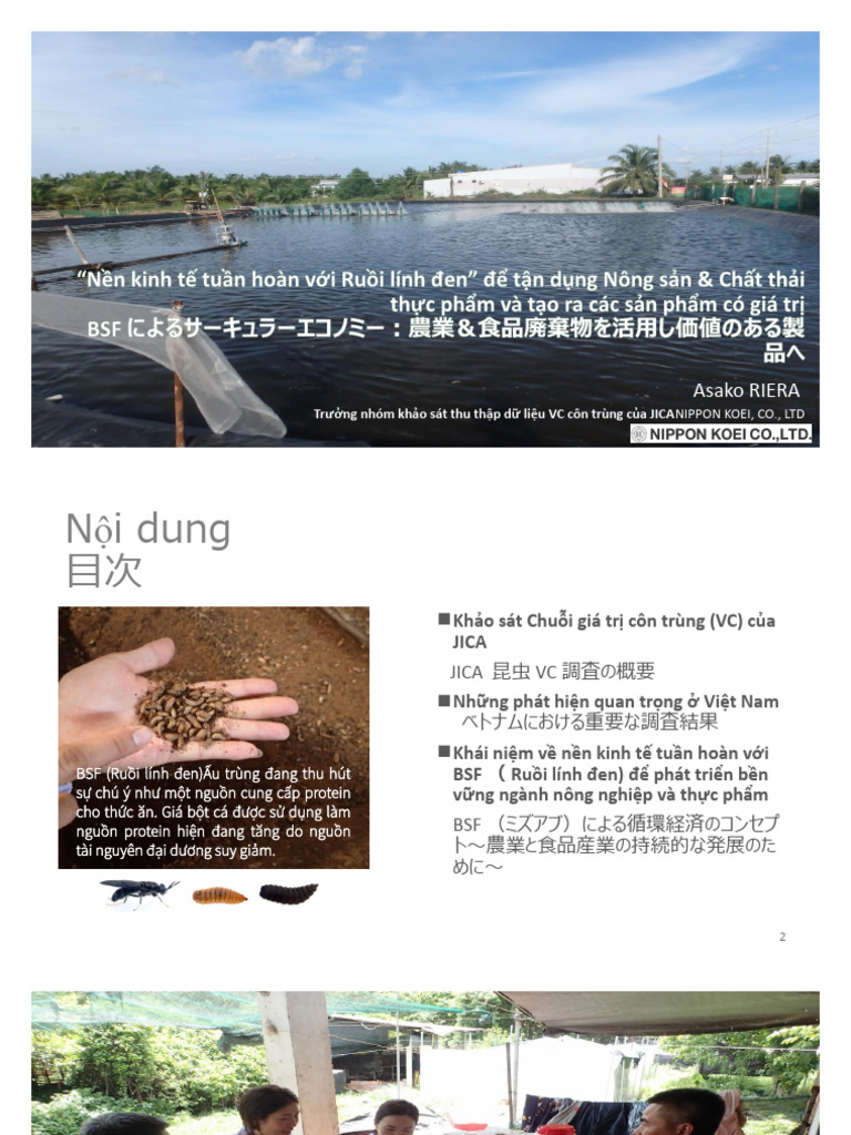 6.JICA Insect VC Survey BSF and Circular Economy - Vietnam Presentation - 1115 | PDF