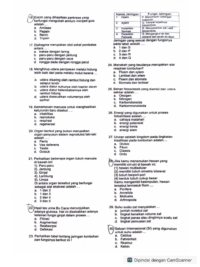 Soal Lambda Ipa Level 3 - 2 | PDF