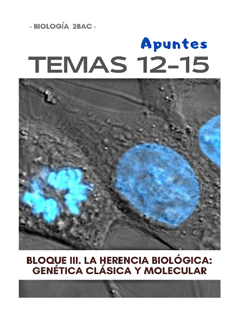 BIO2BAC Bloque 3 2BAC 22-23 | PDF | Mitosis | Dominancia (Genética)
