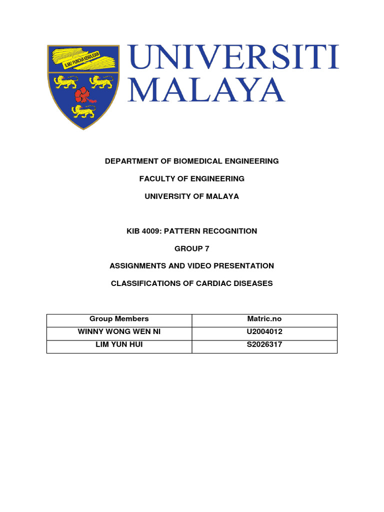 Group7 Kib4009 Patternrecogniton Report | PDF | Support Vector Machine | Statistical Classification