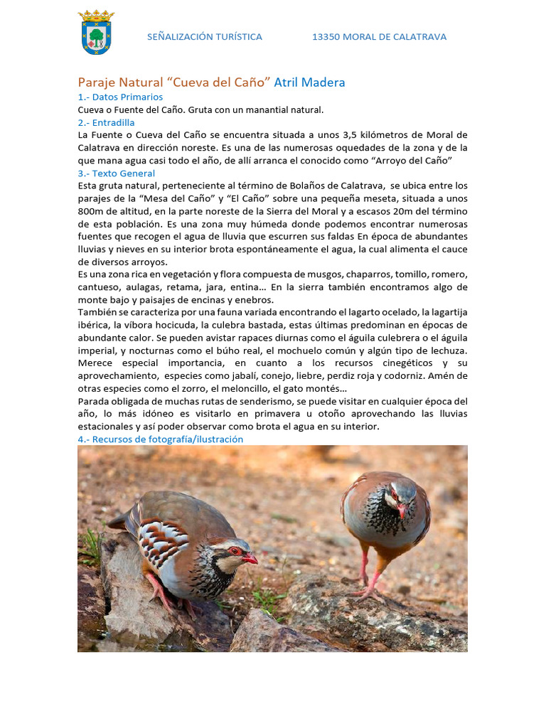 Cueva Del Caño. Paraje Natural | PDF