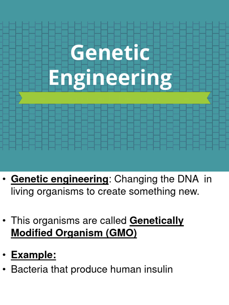 Genetic Engineering | PDF | Selective Breeding | Genetic Engineering