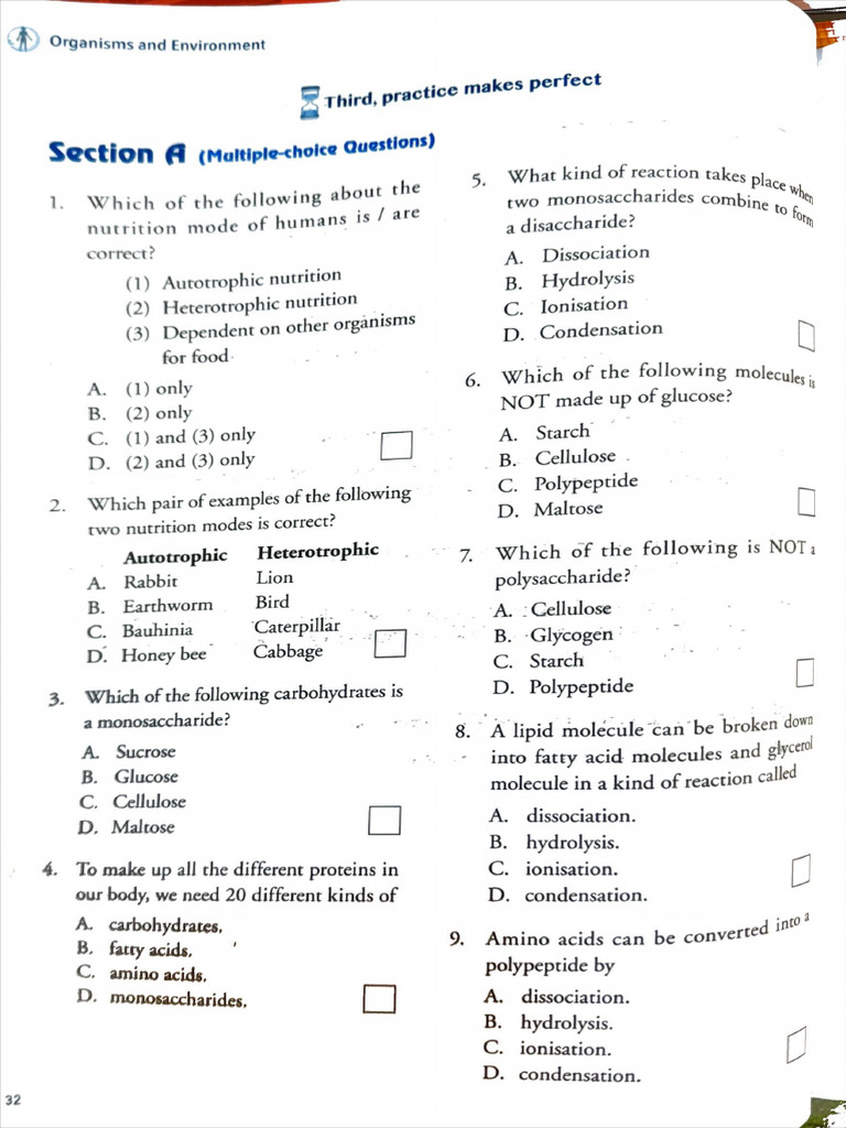 Food Test Exercises | PDF