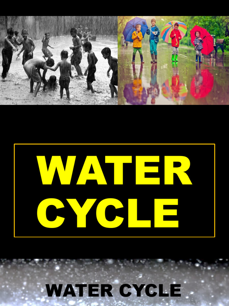 Grade 4 WATER CYCLE | PDF